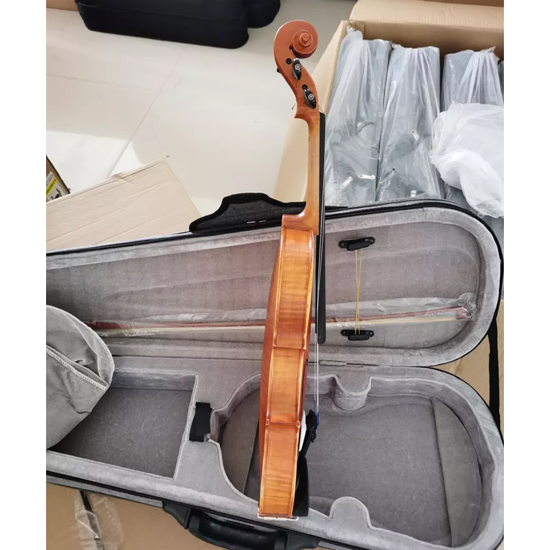 Stringed Instruments Of Violins, Violas, Cellos & More - AILEEN