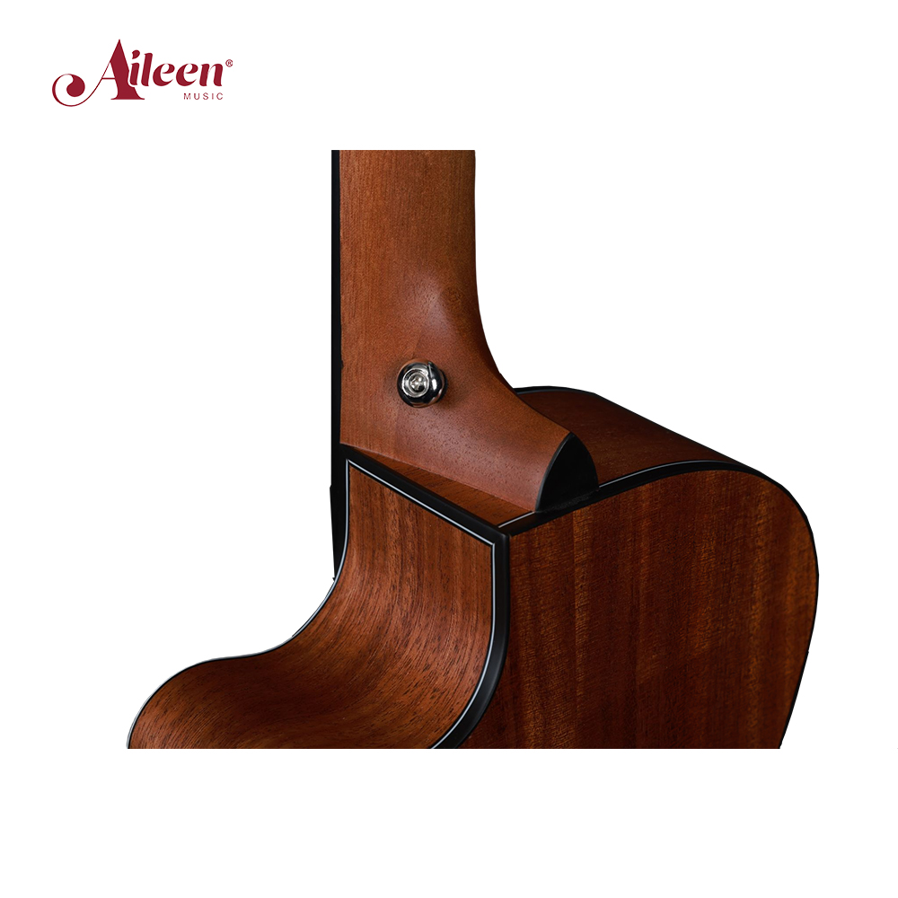 Acoustic Guitars - Premium Acoustic Guitars - AILEEN