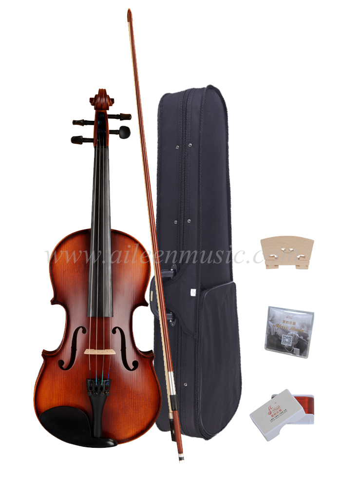 Selected Solidwood Advanced Student Violin Outfit (VG107) - Aileen Music