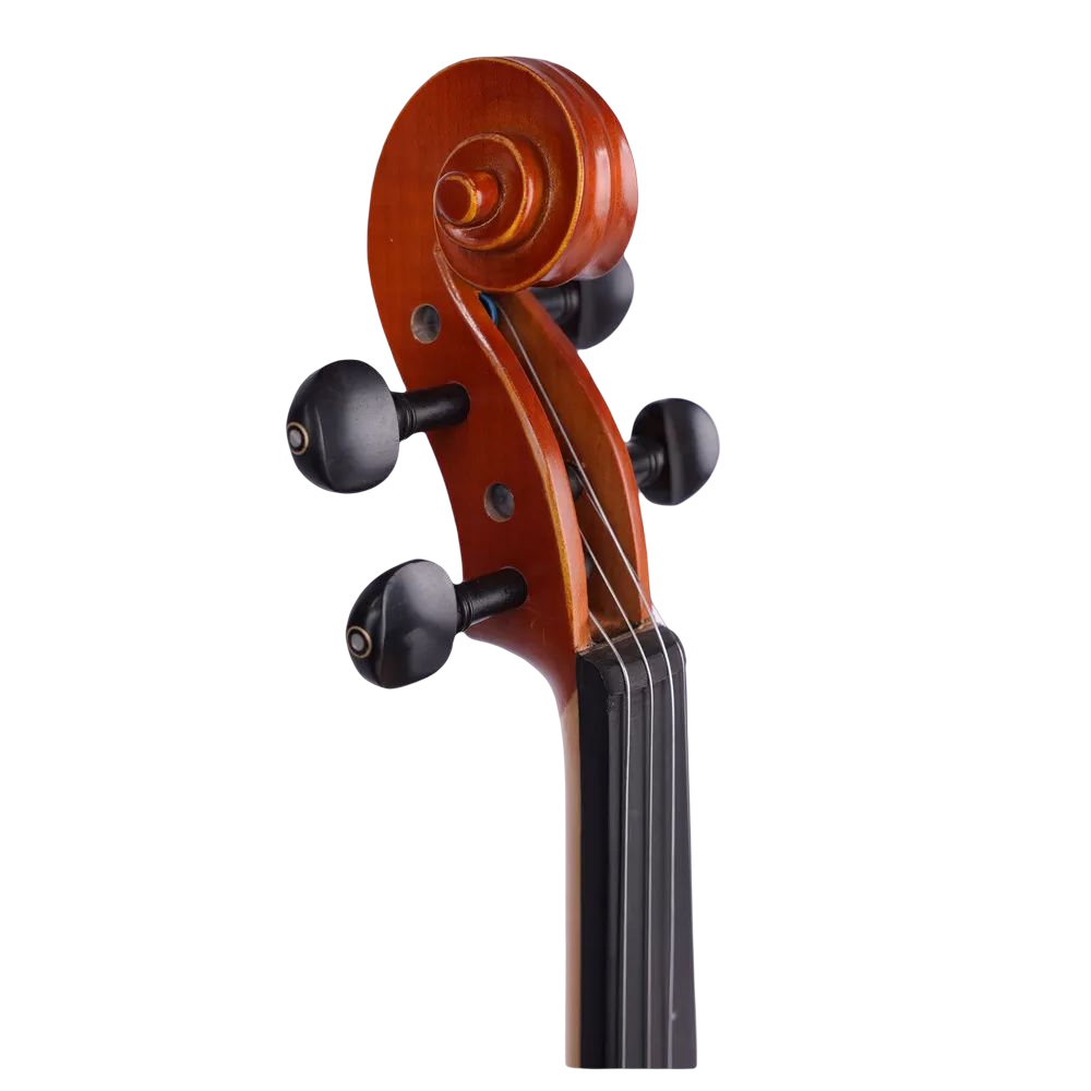 Quality Violins For Sale - AILEEN