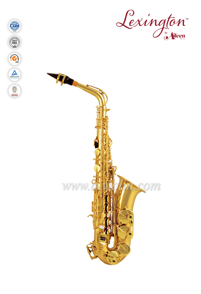 Range Low Bb to High Alto Saxophone （SP200G）