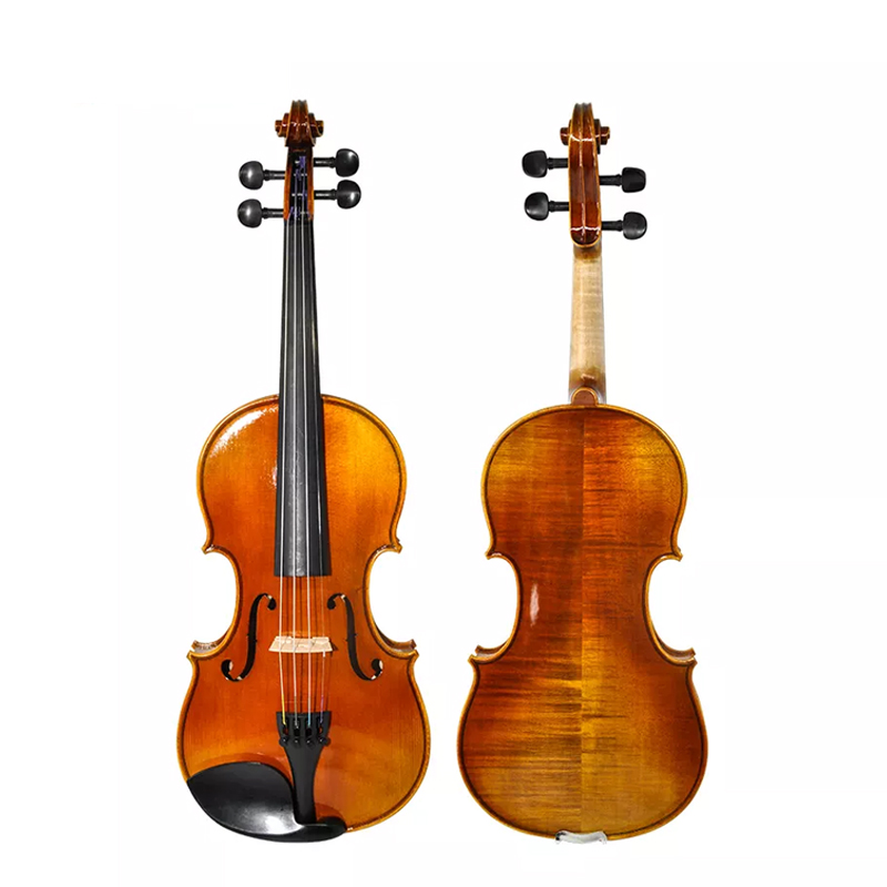 Stringed Instruments Of Violins, Violas, Cellos & More - AILEEN