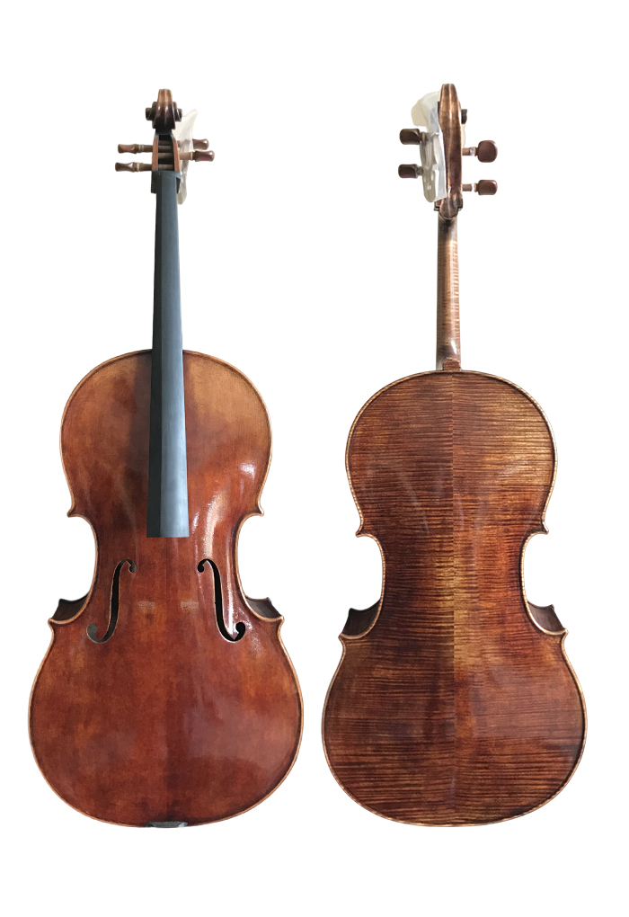 Stringed Instruments Of Violins, Violas, Cellos & More - AILEEN