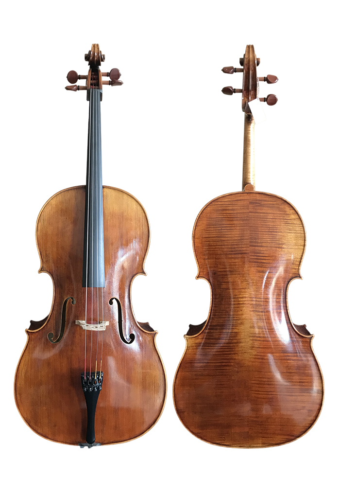 Stringed Instruments Of Violins, Violas, Cellos & More - AILEEN