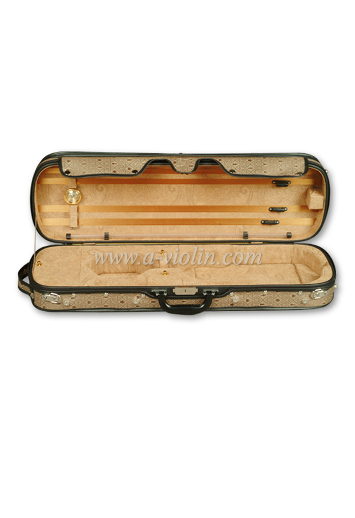 Ensure Optimal Protection with Durable Violin Hard Cases - Aileen Music