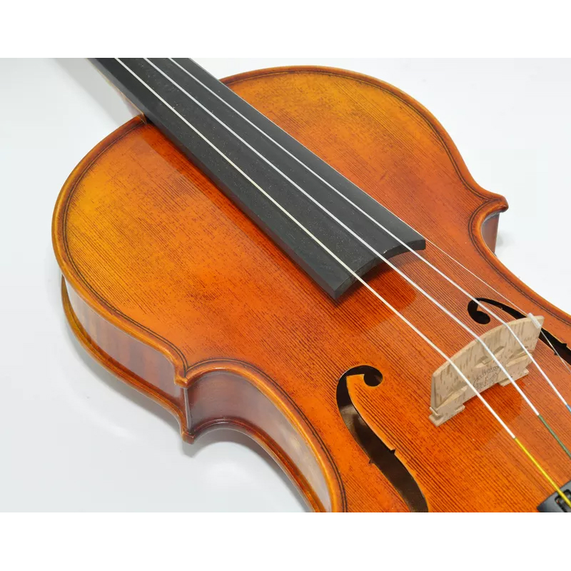 Stringed Instruments Of Violins, Violas, Cellos & More - AILEEN