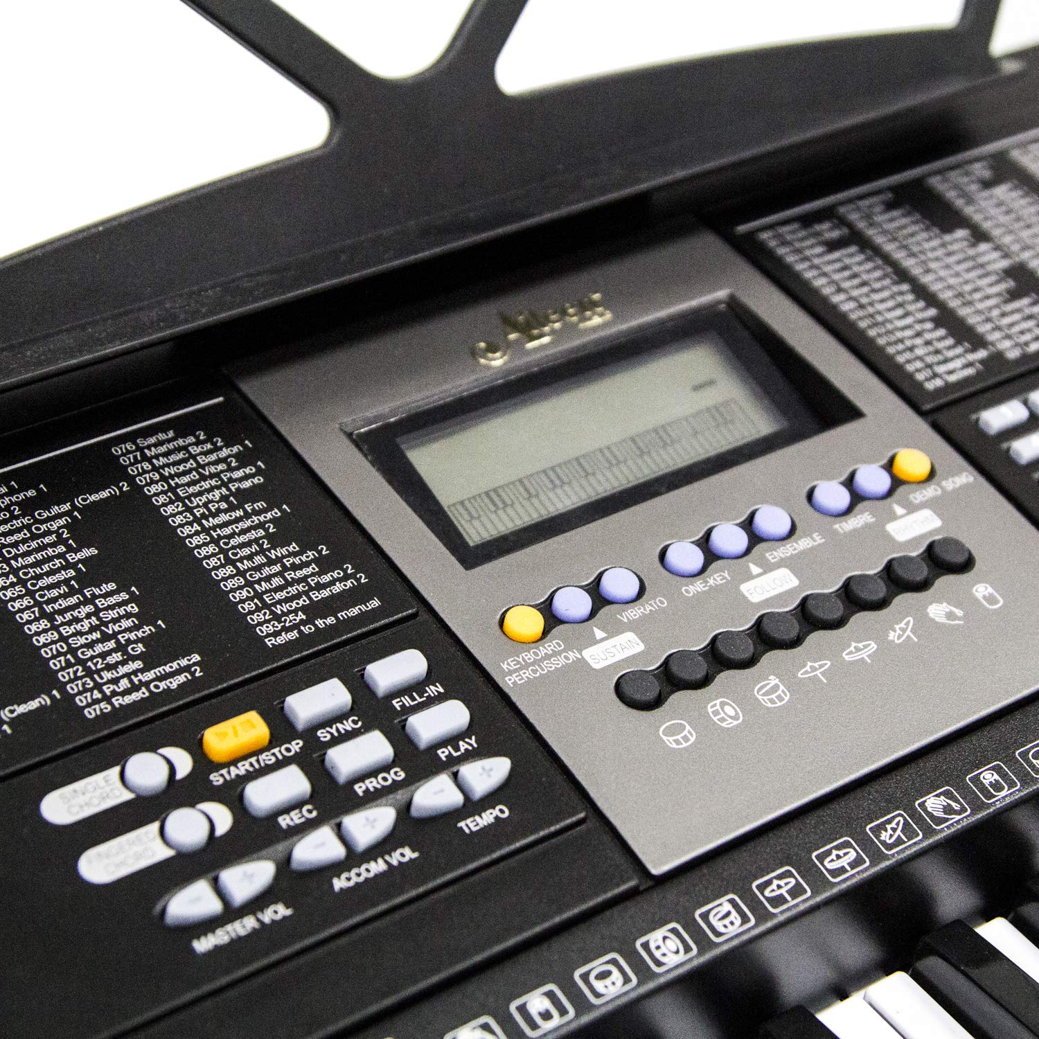 61 Keys Electric Keyboard Musical Instrument (EK61216) - Aileen Music