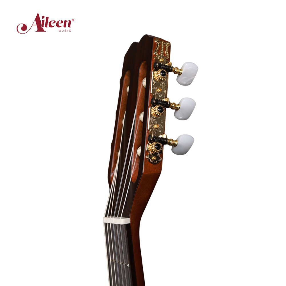 Explore Premium Musical Instruments & Accessories for Sale - Aileen Music