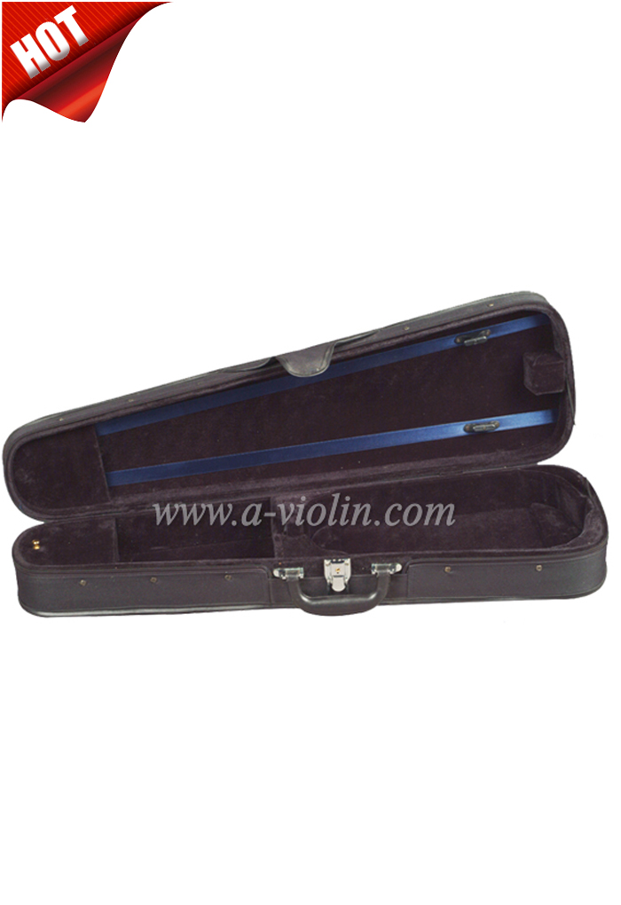 Ensure Optimal Protection with Durable Violin Hard Cases - Aileen Music